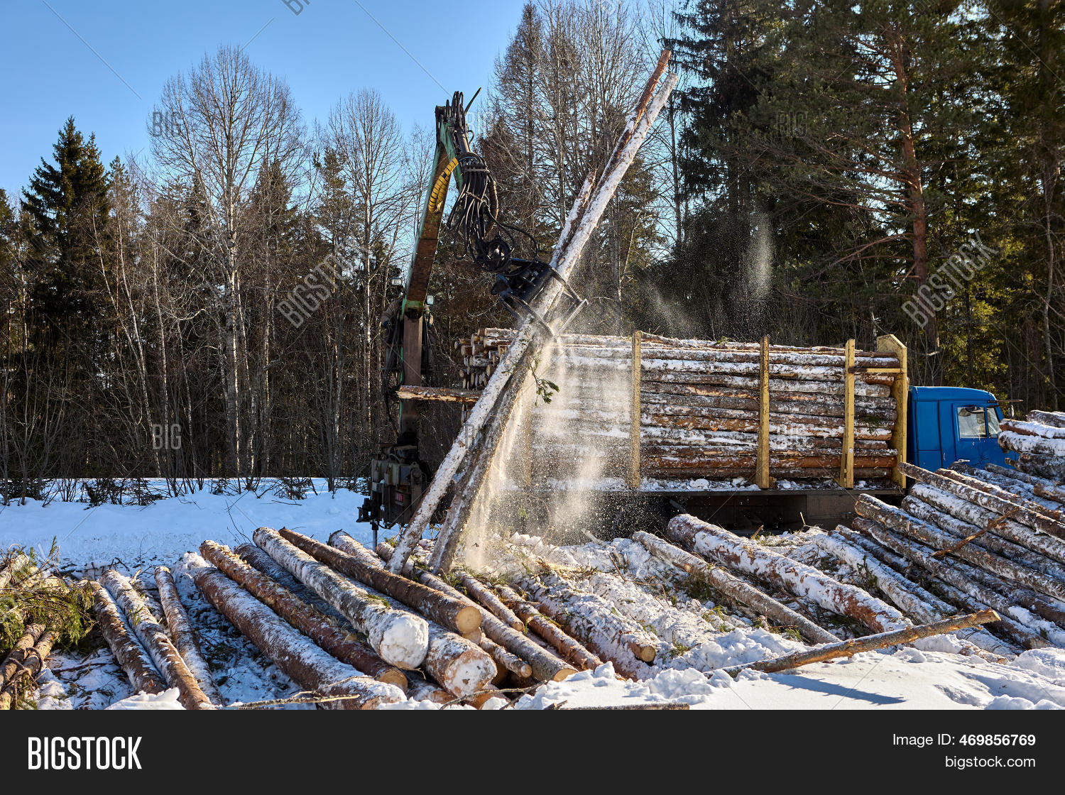 Logging Trucks At Work