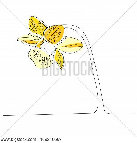 Narcissus One Line Vector & Photo (Free Trial) | Bigstock