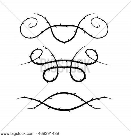 Thorn Branch Vine. Vector & Photo (Free Trial) | Bigstock