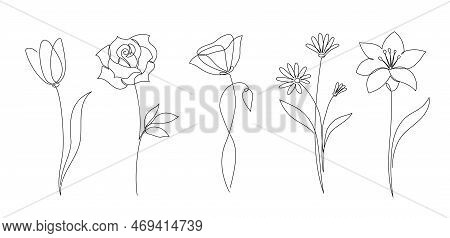 Simple Flower Outline Images, Illustrations & Vectors (Free) - Bigstock