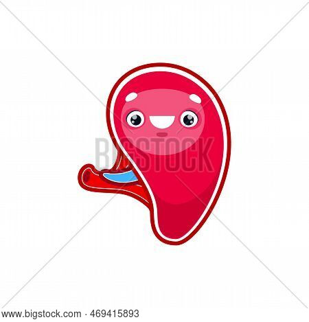 Cartoon Spleen Human Vector & Photo (Free Trial) | Bigstock