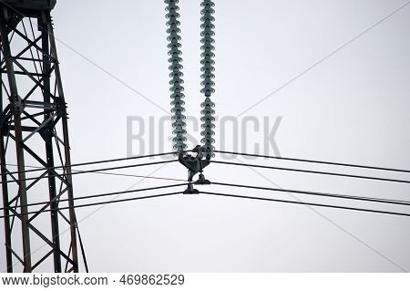Electric Power Lines Image & Photo (Free Trial) | Bigstock