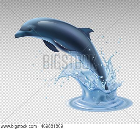 Jumping Dolphin On Vector & Photo (Free Trial) | Bigstock