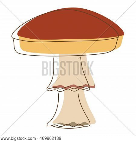 Amanita Mushroom Image & Photo (Free Trial) | Bigstock