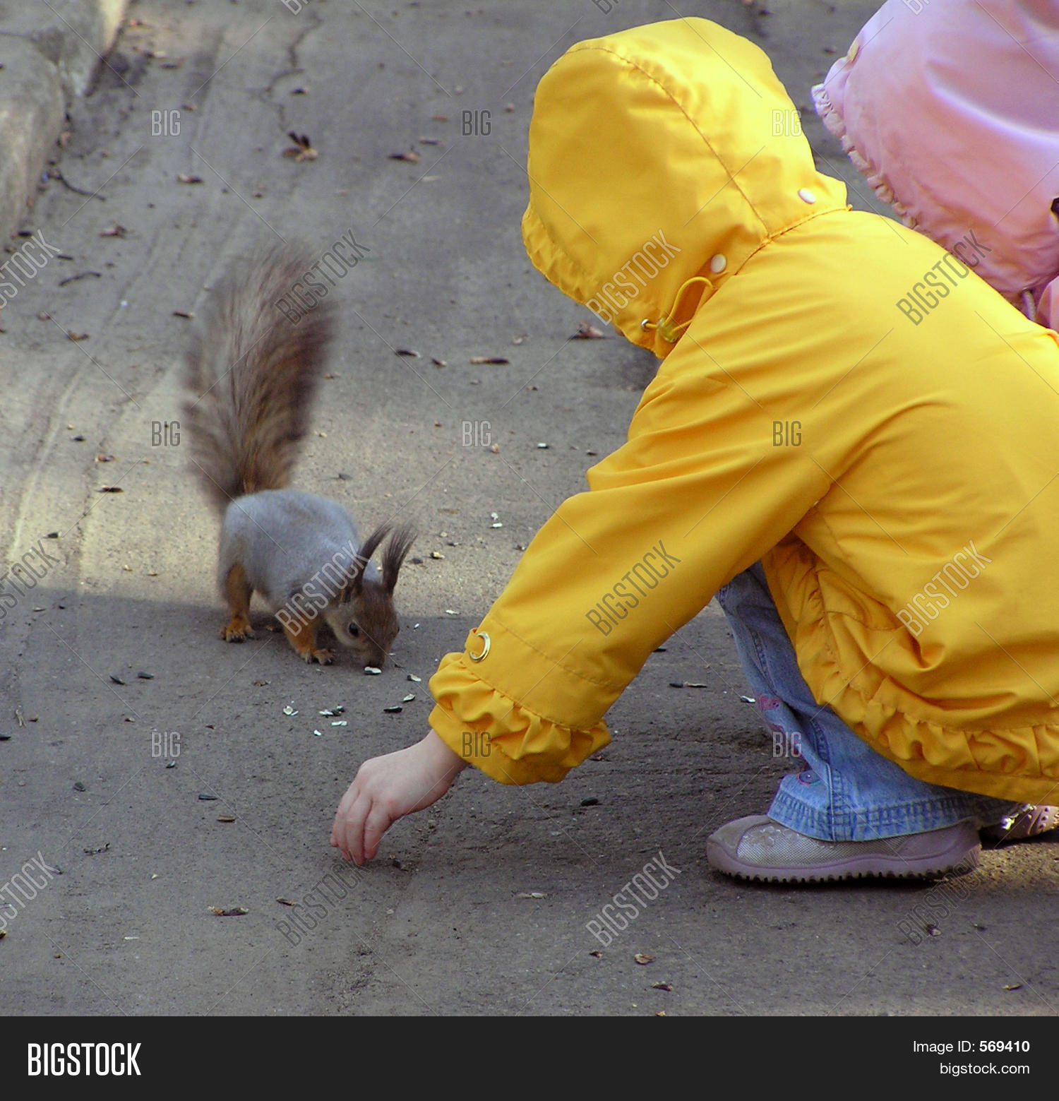 Children Squirrel Image & Photo (Free Trial) | Bigstock