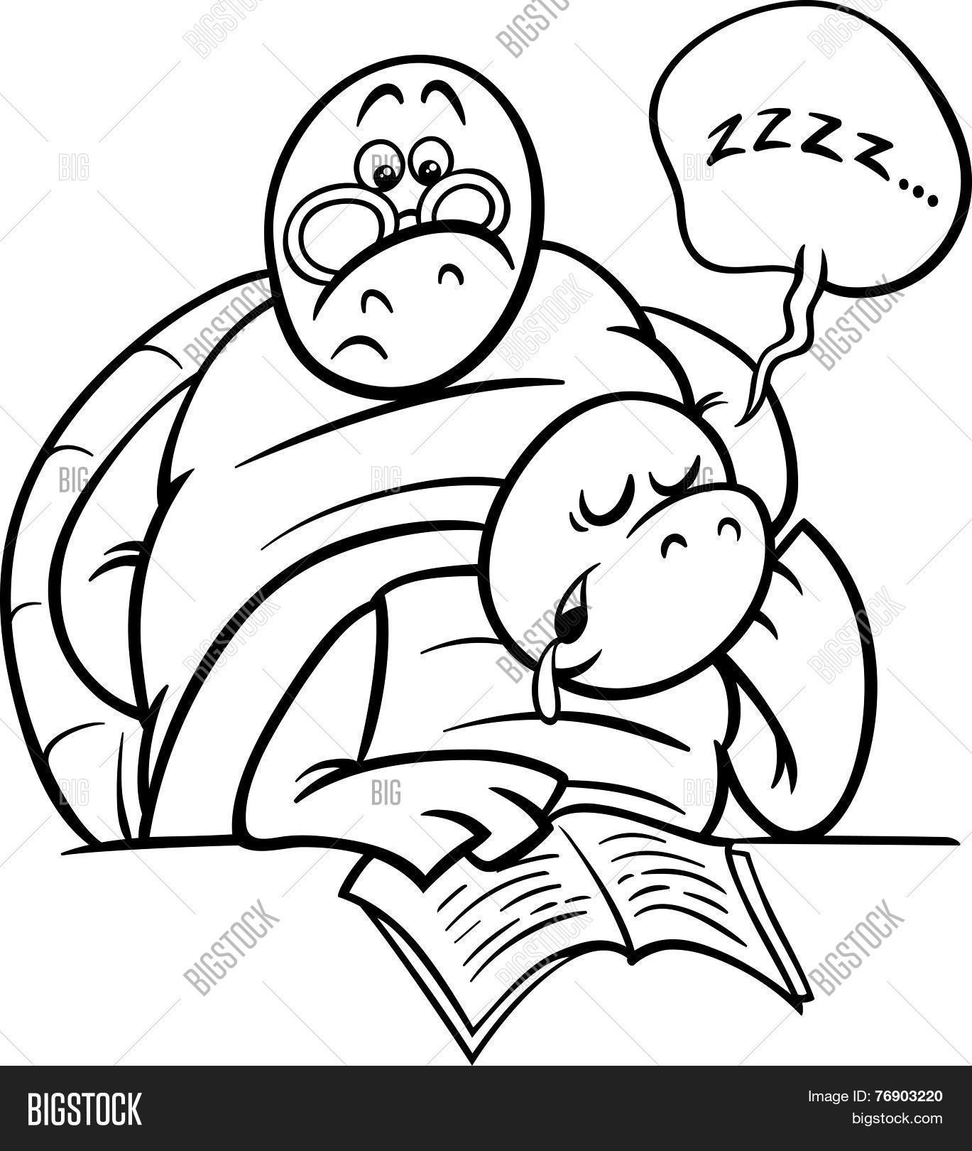 Sleeping Turtle On Vector & Photo (Free Trial) | Bigstock