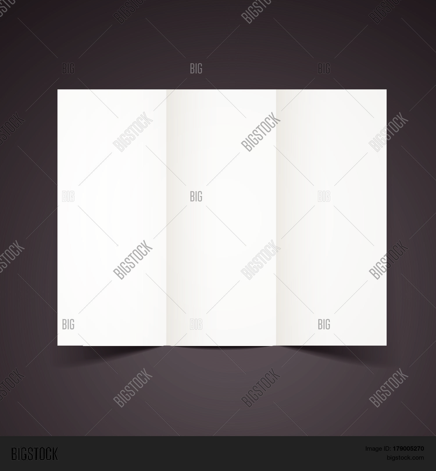 Open Tri-fold Vector & Photo (Free Trial) | Bigstock