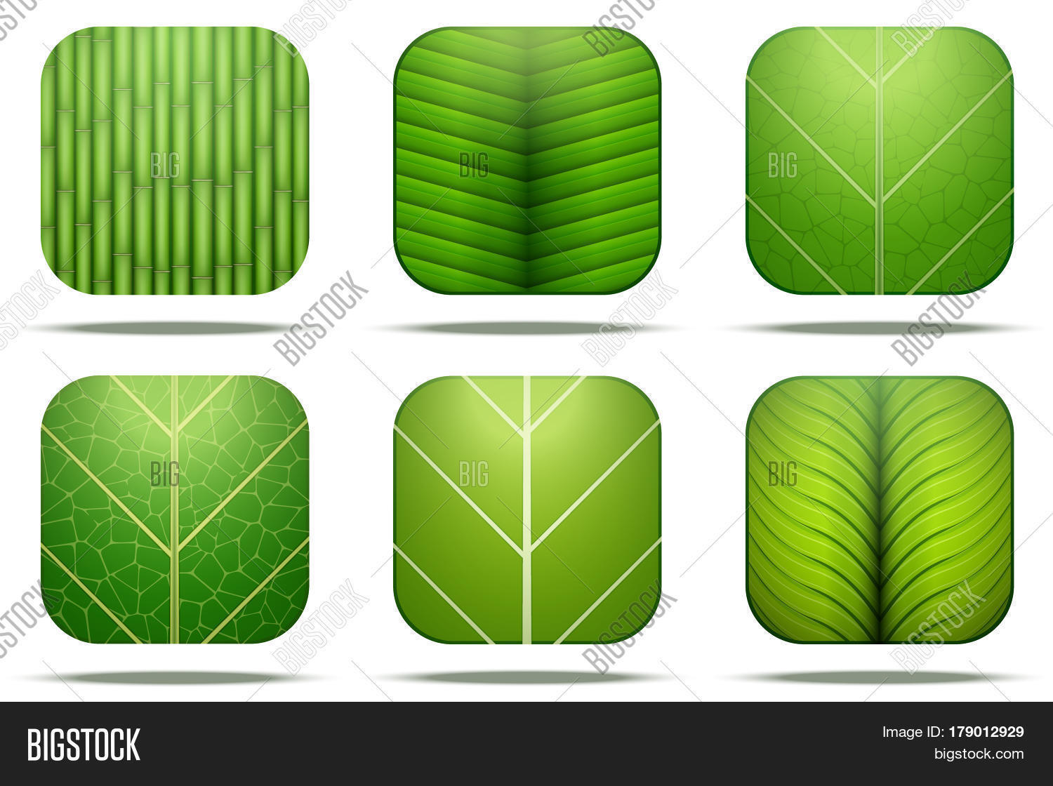 Set Green Leaf Square Image & Photo (Free Trial) | Bigstock