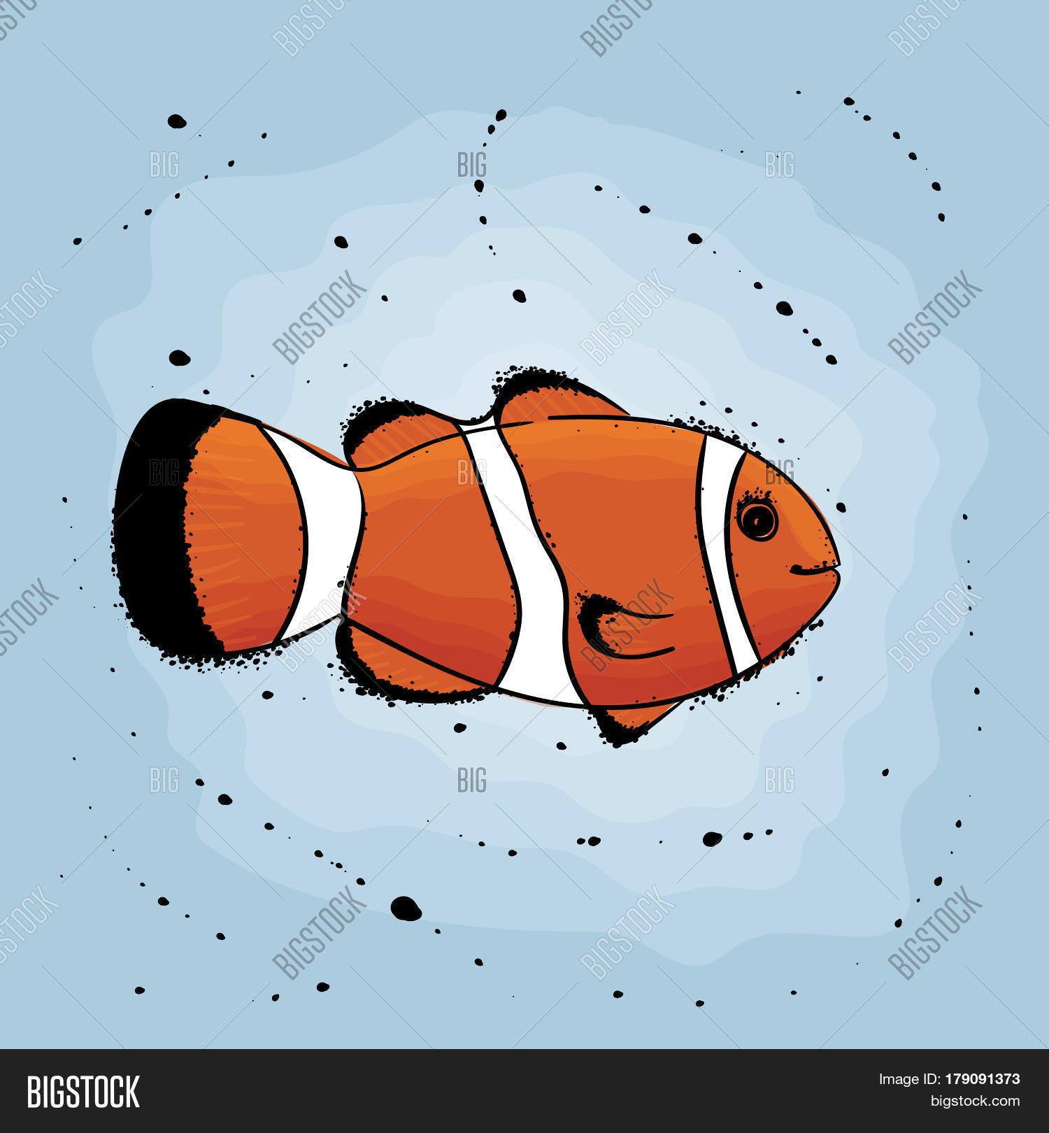 Clown Fish. Hand Drawn Image & Photo (Free Trial) | Bigstock