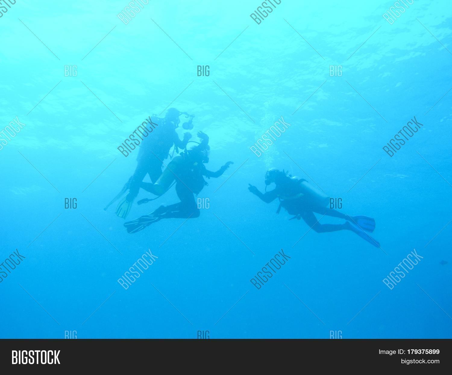 Scuba Divers Floating Image & Photo (Free Trial) | Bigstock