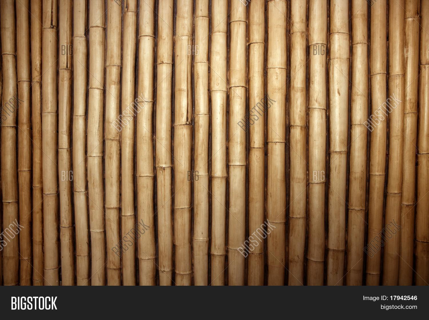 Bamboo Cane Row Image & Photo (Free Trial) | Bigstock