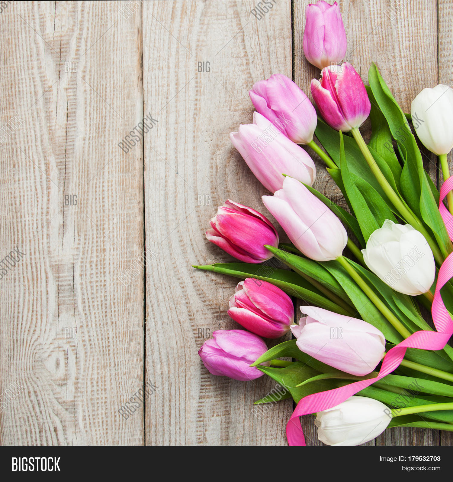 Spring Tulips Flowers Image & Photo (Free Trial) | Bigstock