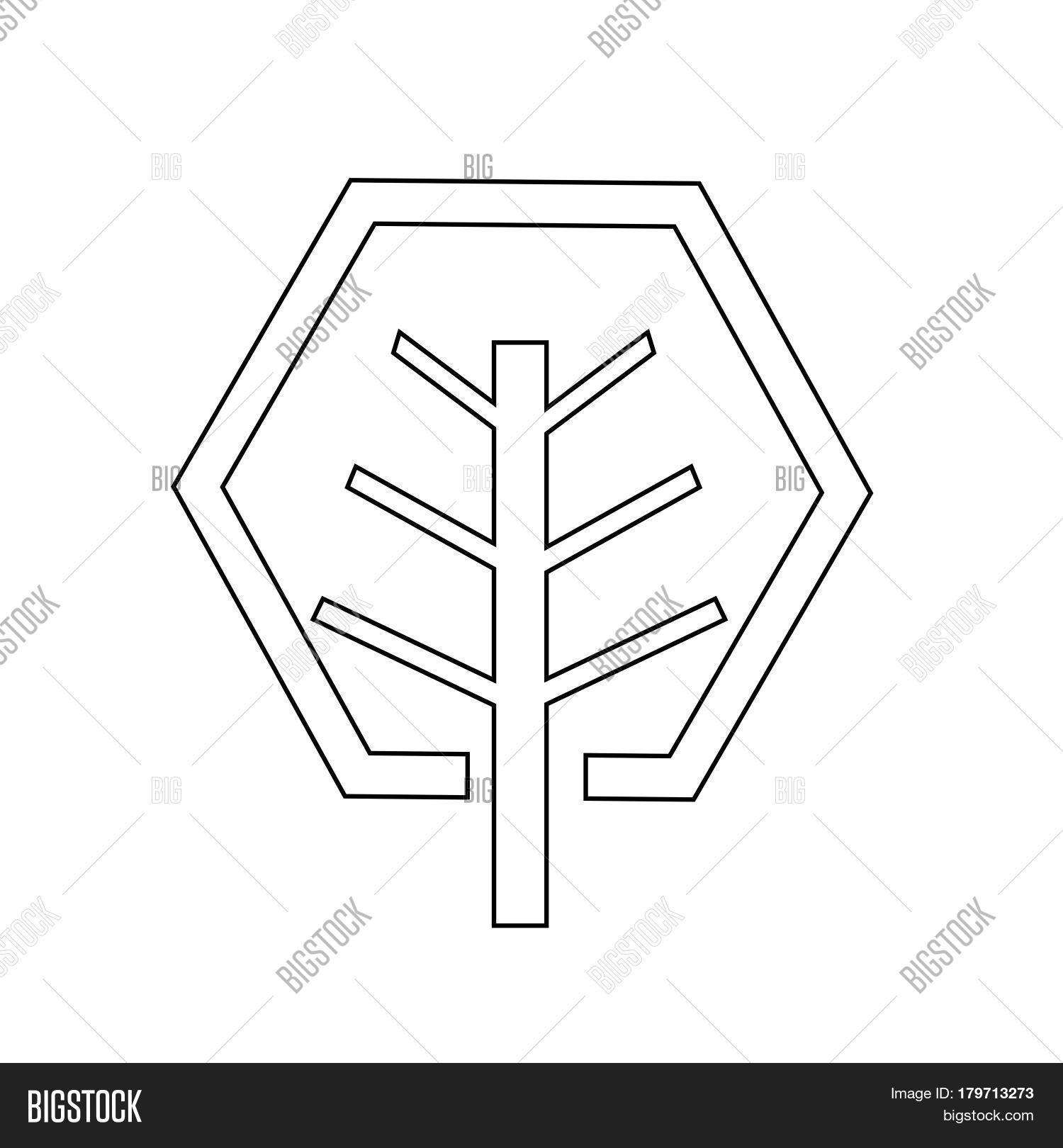 Images Pictogram Tree Vector & Photo (Free Trial) | Bigstock