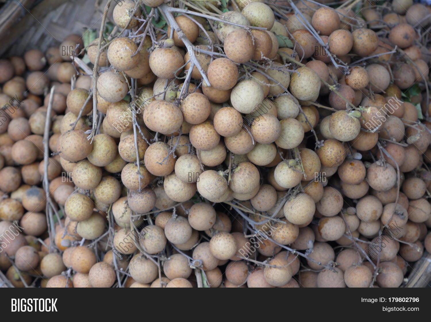 Longan -- Fruit, Thin Image & Photo (Free Trial) | Bigstock