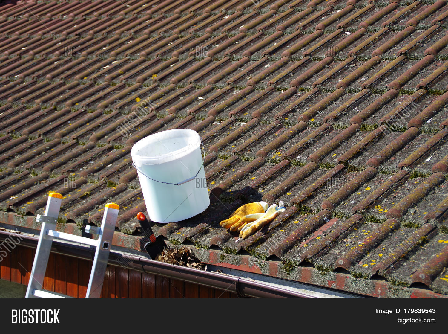 Dirty Roof Tiles Dense Image & Photo (Free Trial) | Bigstock