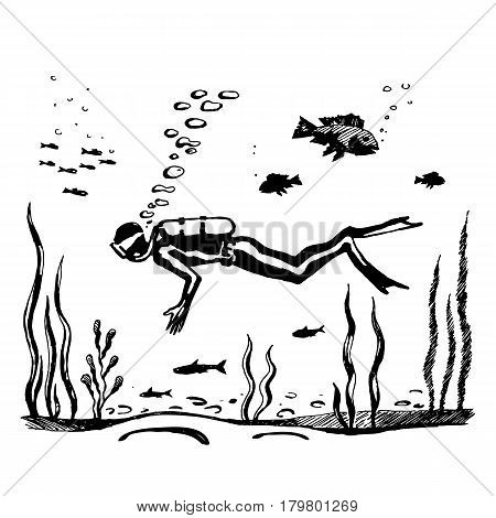 Vector Sketch Diver Vector & Photo (Free Trial) | Bigstock