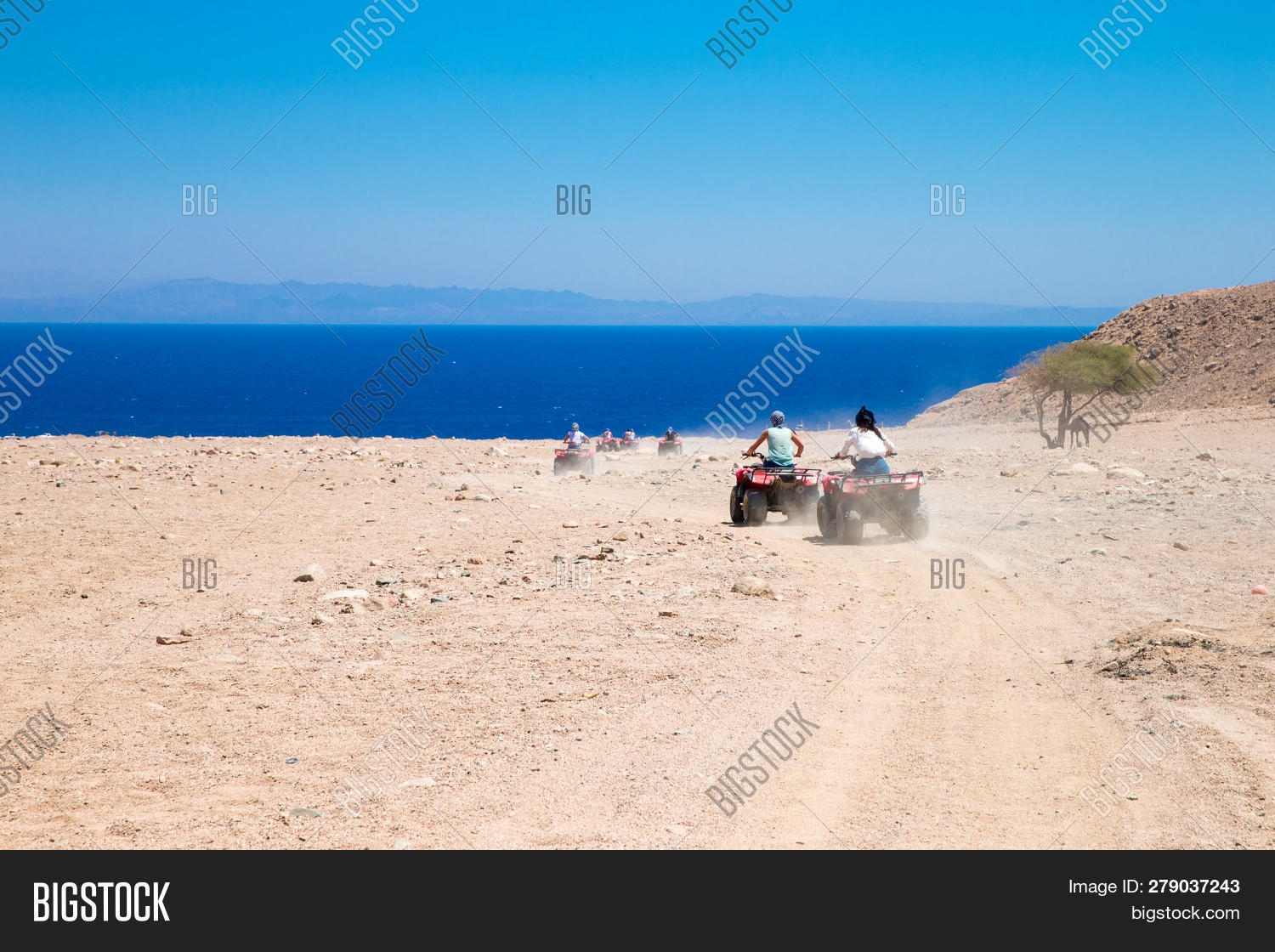 Motorcycle Safari Image & Photo (Free Trial) | Bigstock