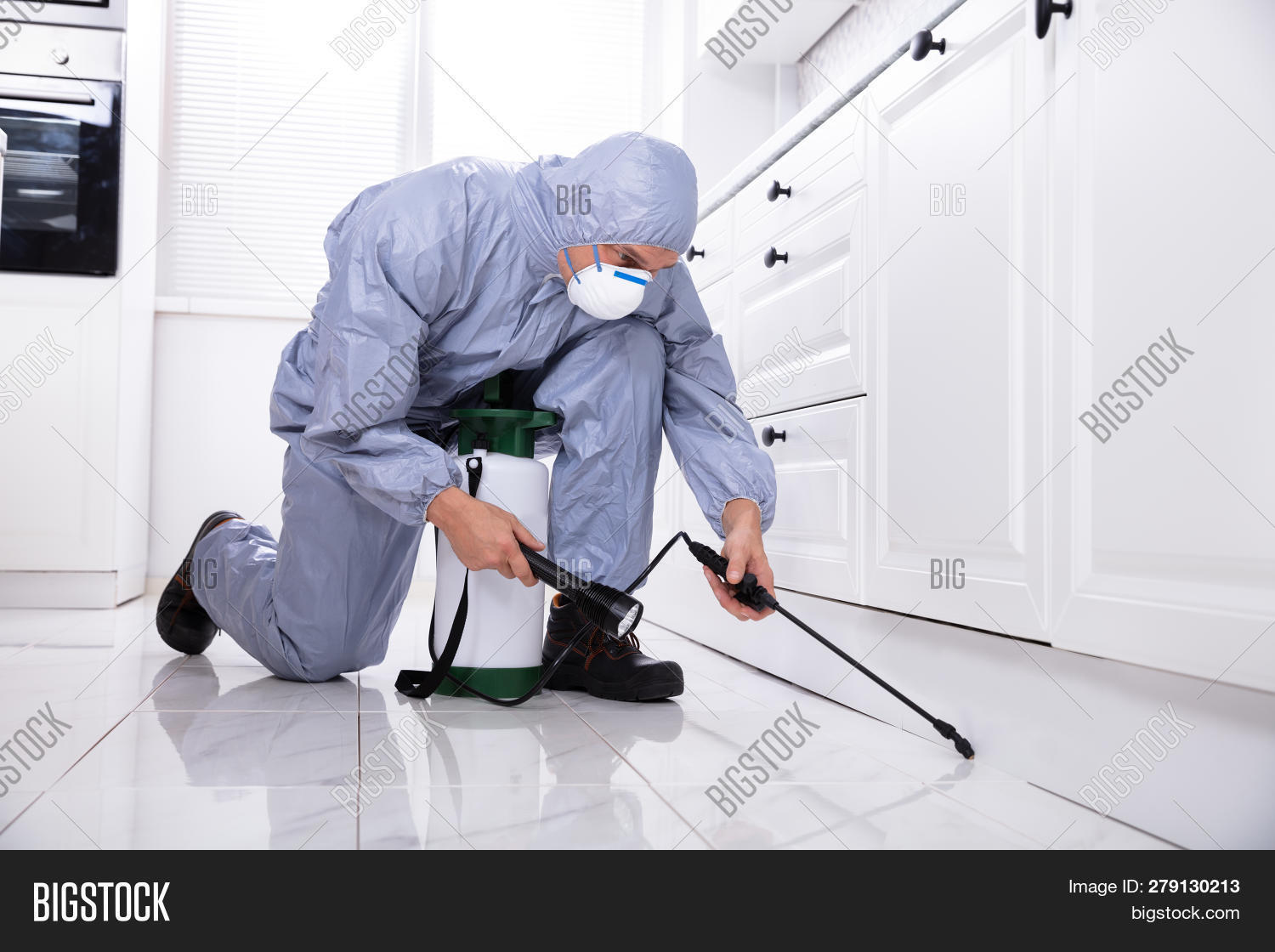 Male Exterminator Image & Photo (Free Trial) | Bigstock