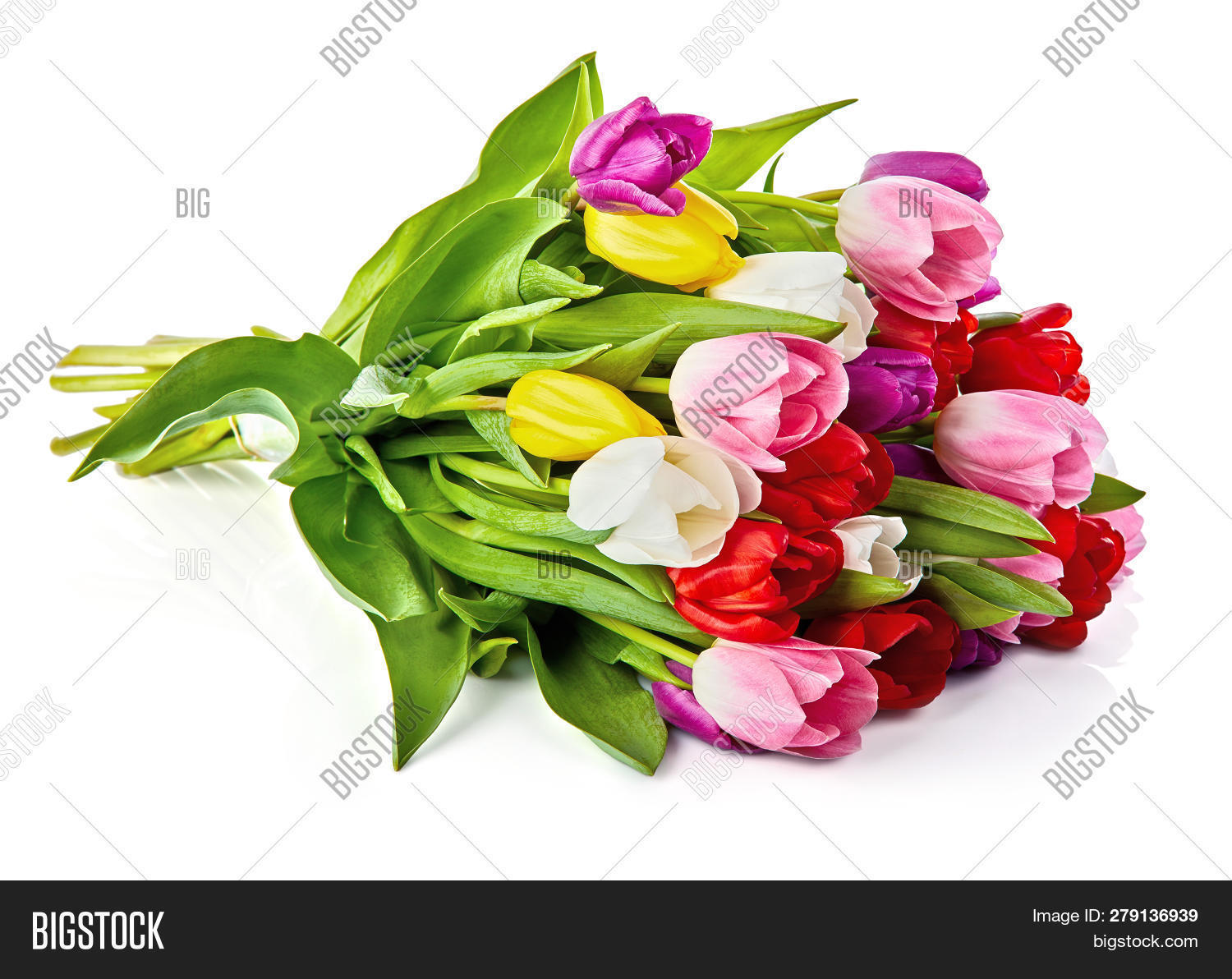 Spring Tulips Flowers Image & Photo (Free Trial) | Bigstock