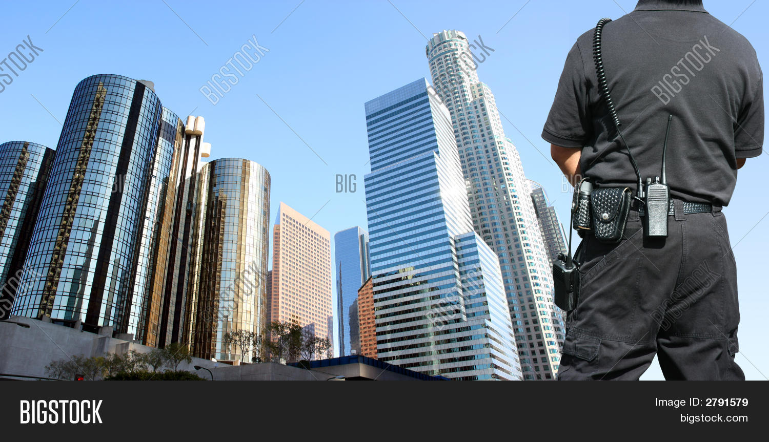 Security Agent Image & Photo (Free Trial) | Bigstock