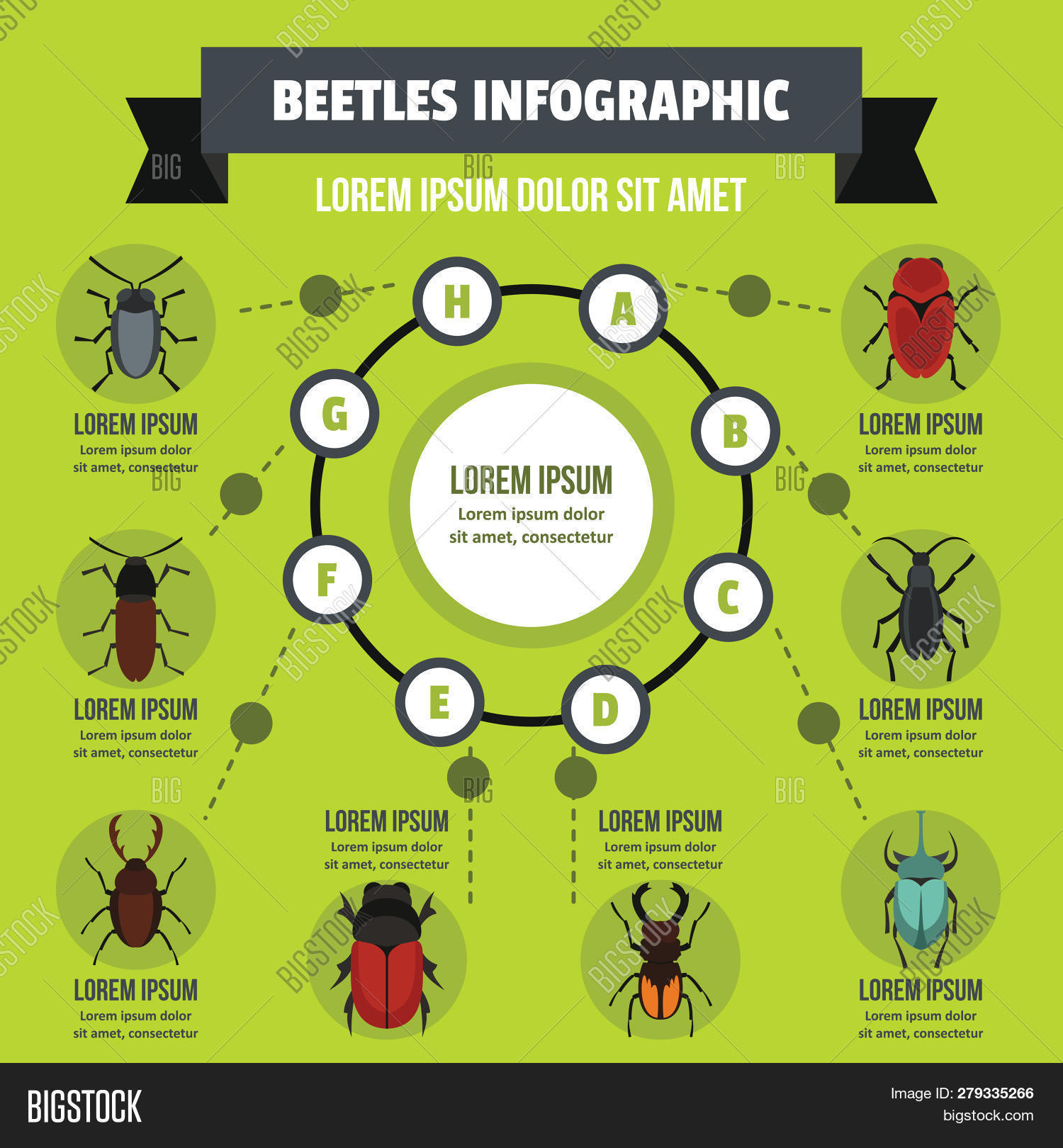 Beatles Infographic Image & Photo (Free Trial) | Bigstock