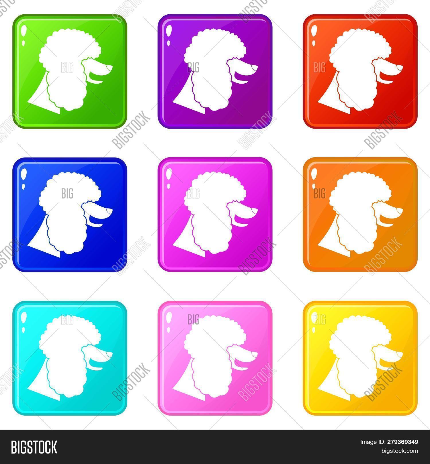 Poodle Dog Icons 9 Image & Photo (Free Trial) | Bigstock