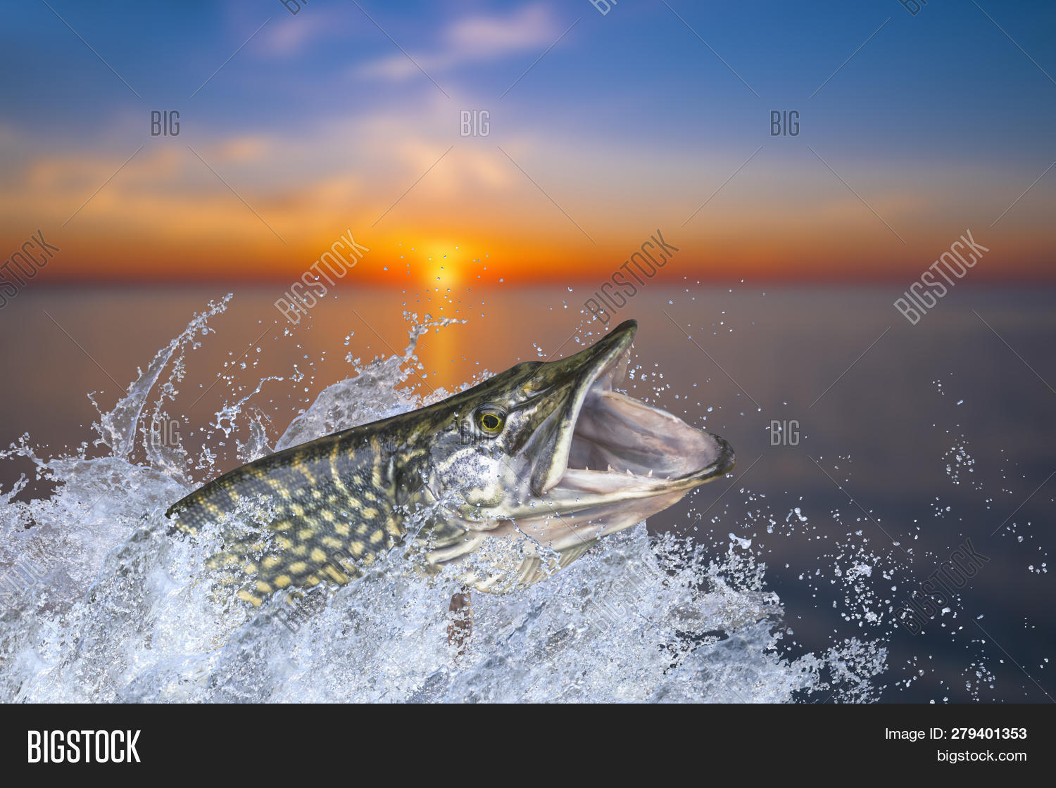 Fishing. Big Pike Fish Image & Photo (Free Trial) | Bigstock