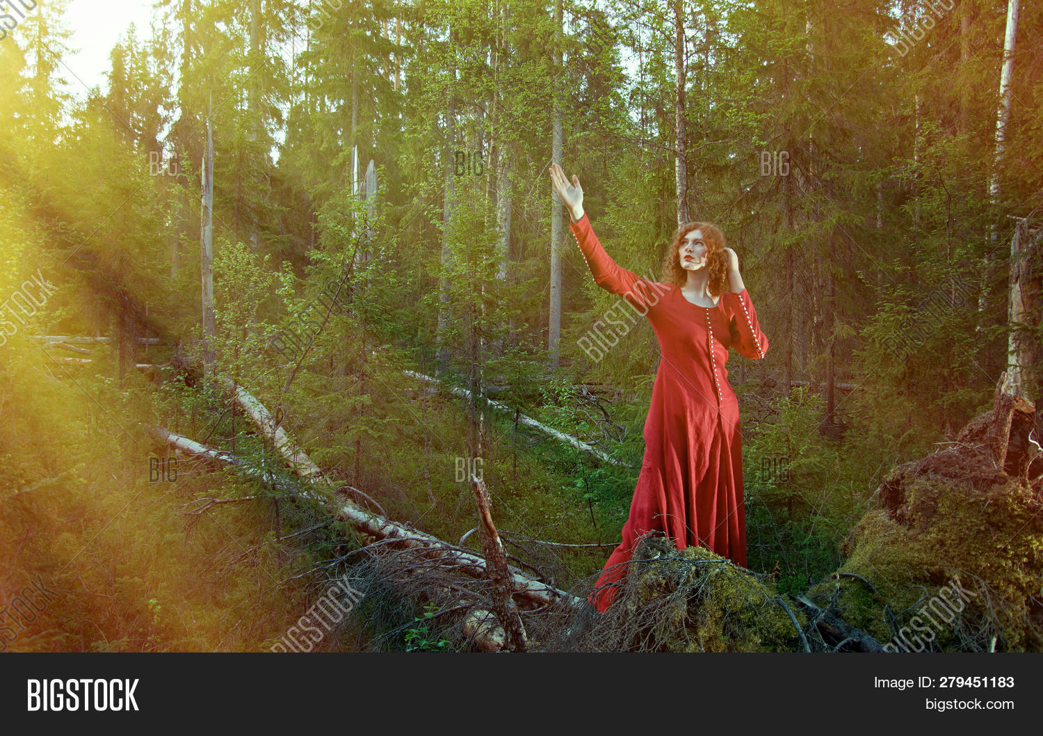 Woman Mystical Forest Image & Photo (Free Trial) | Bigstock