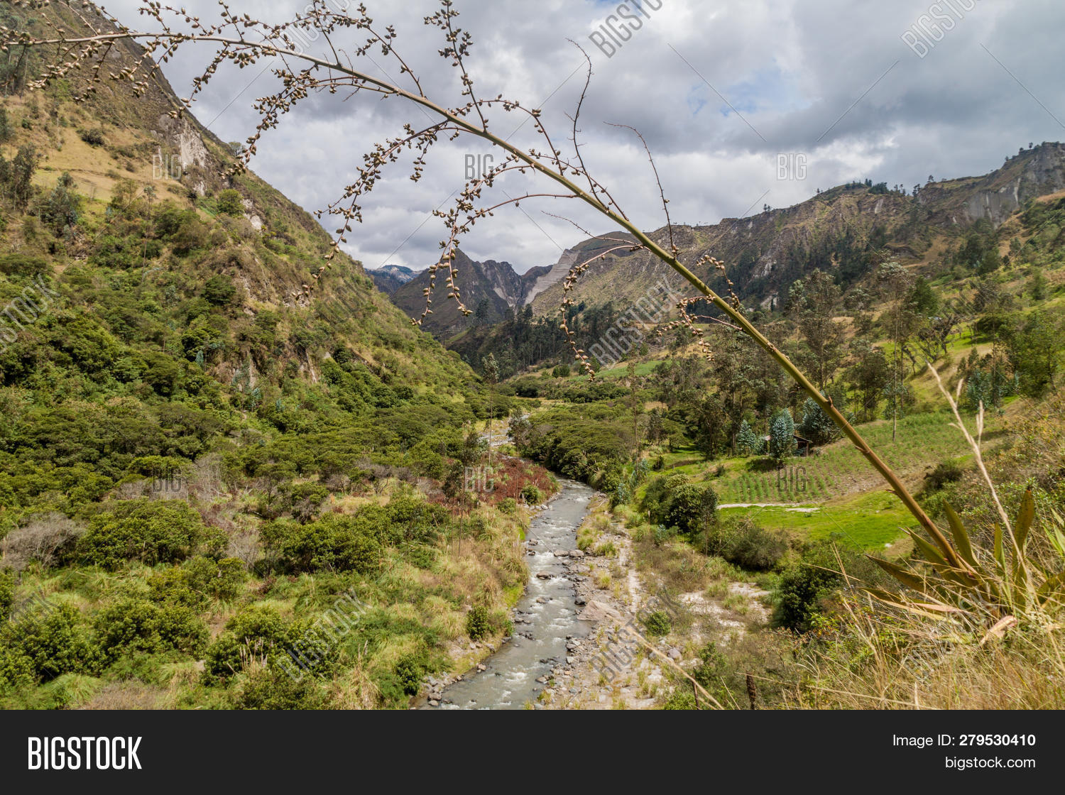 Toachi River Canyon Image & Photo (Free Trial) | Bigstock