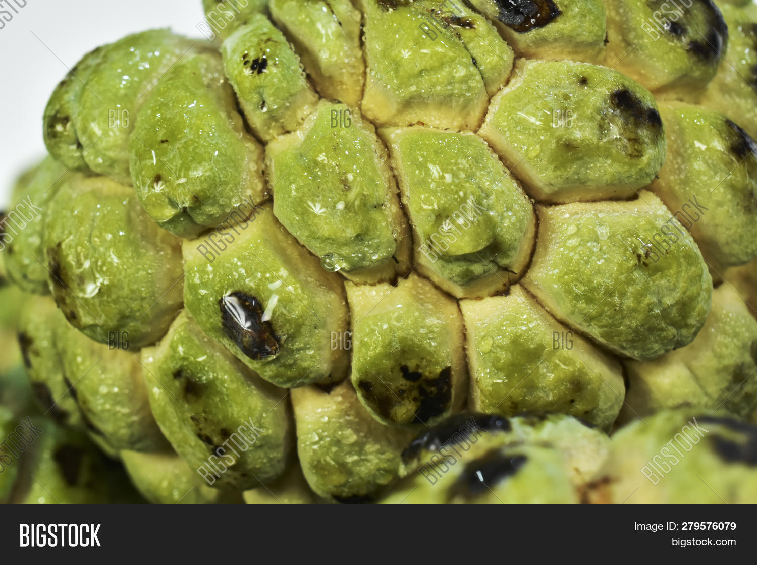 Exotic Brazilian Fruit Image & Photo (Free Trial) | Bigstock