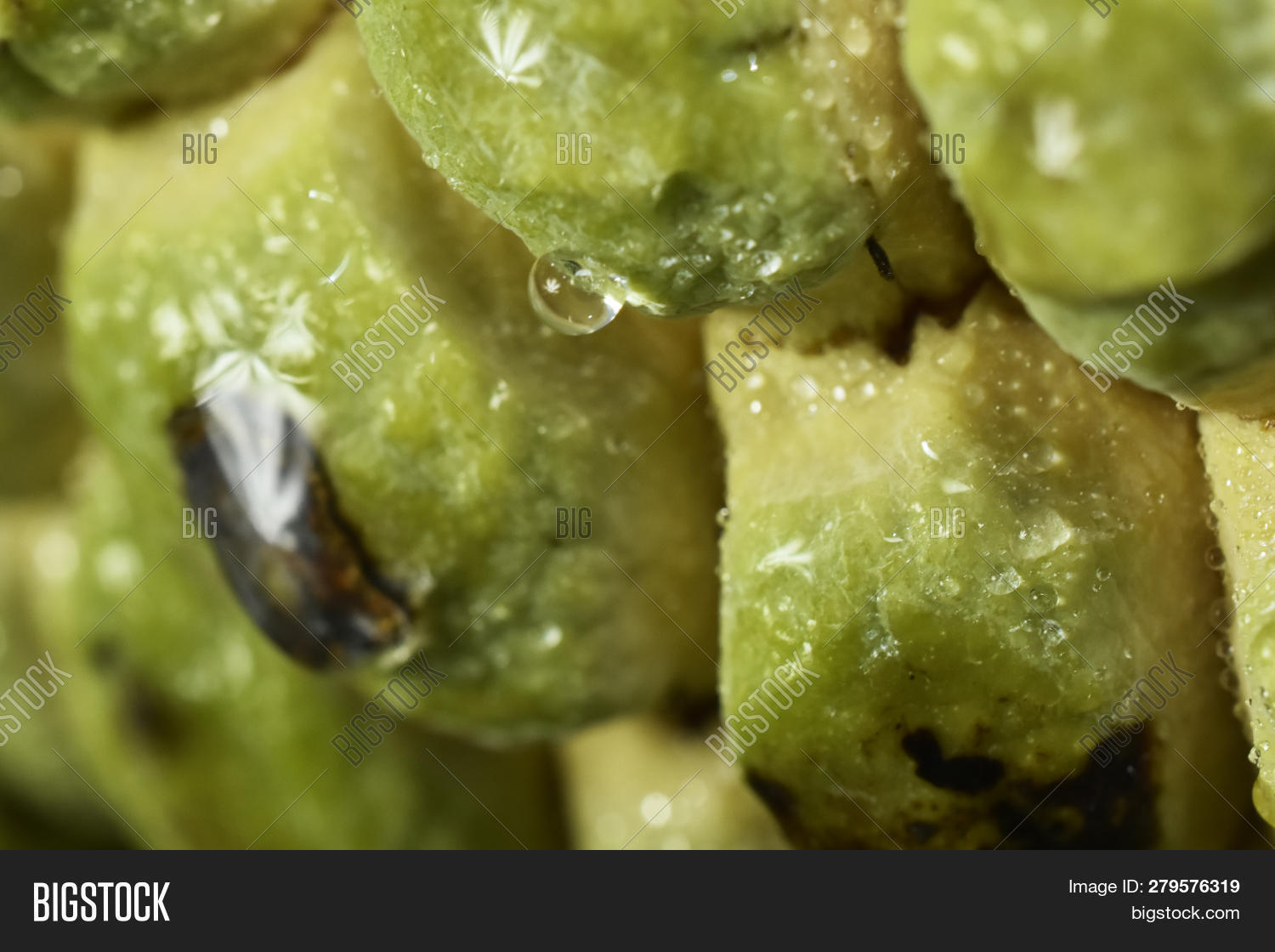 Exotic Brazilian Fruit Image & Photo (Free Trial) | Bigstock