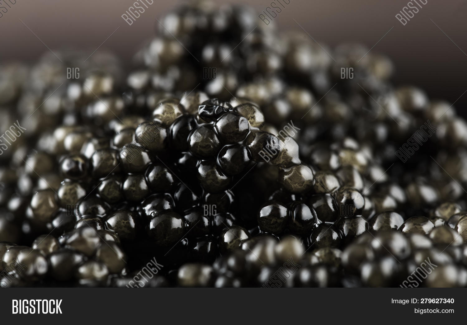 Black Caviar Image & Photo (Free Trial) | Bigstock