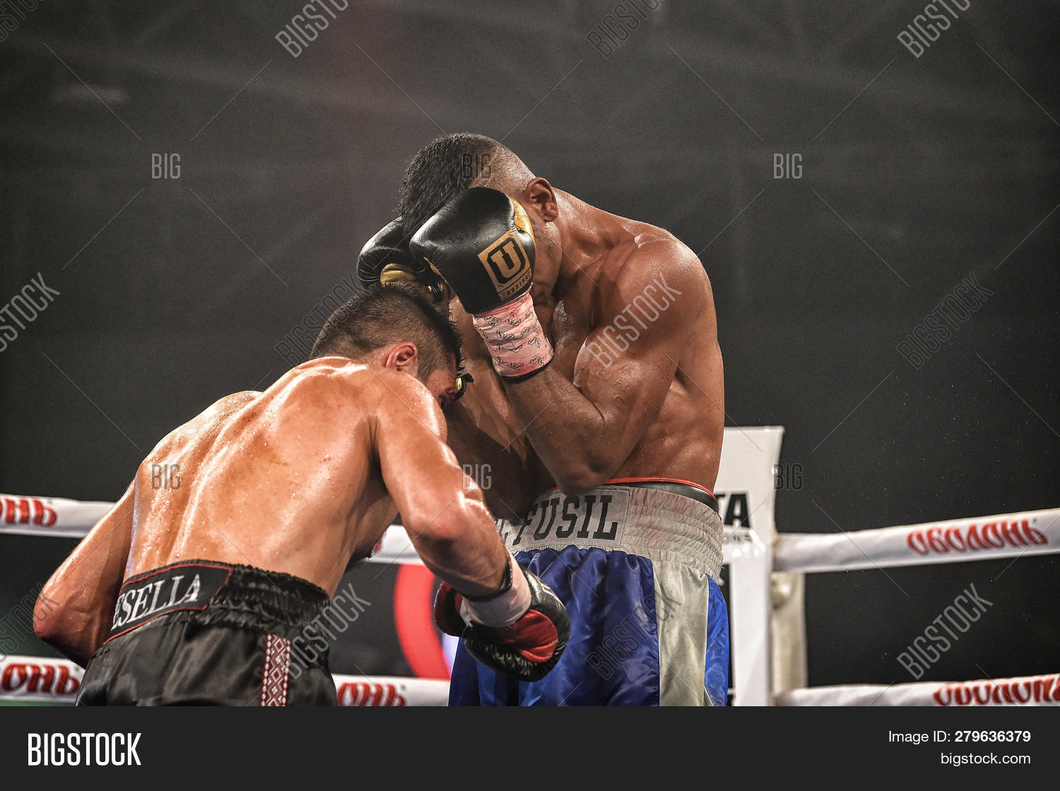 Unidentified Boxers Image & Photo (Free Trial) | Bigstock