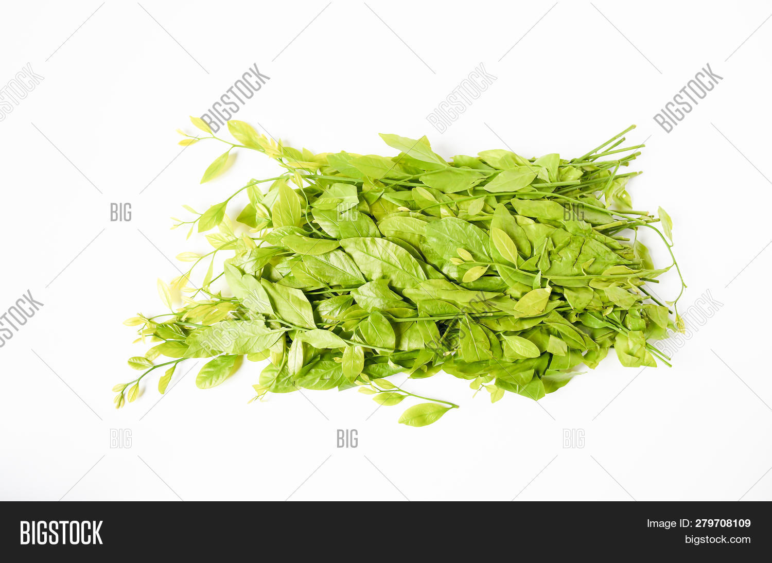 Vegetable , Top View Image & Photo (Free Trial) | Bigstock