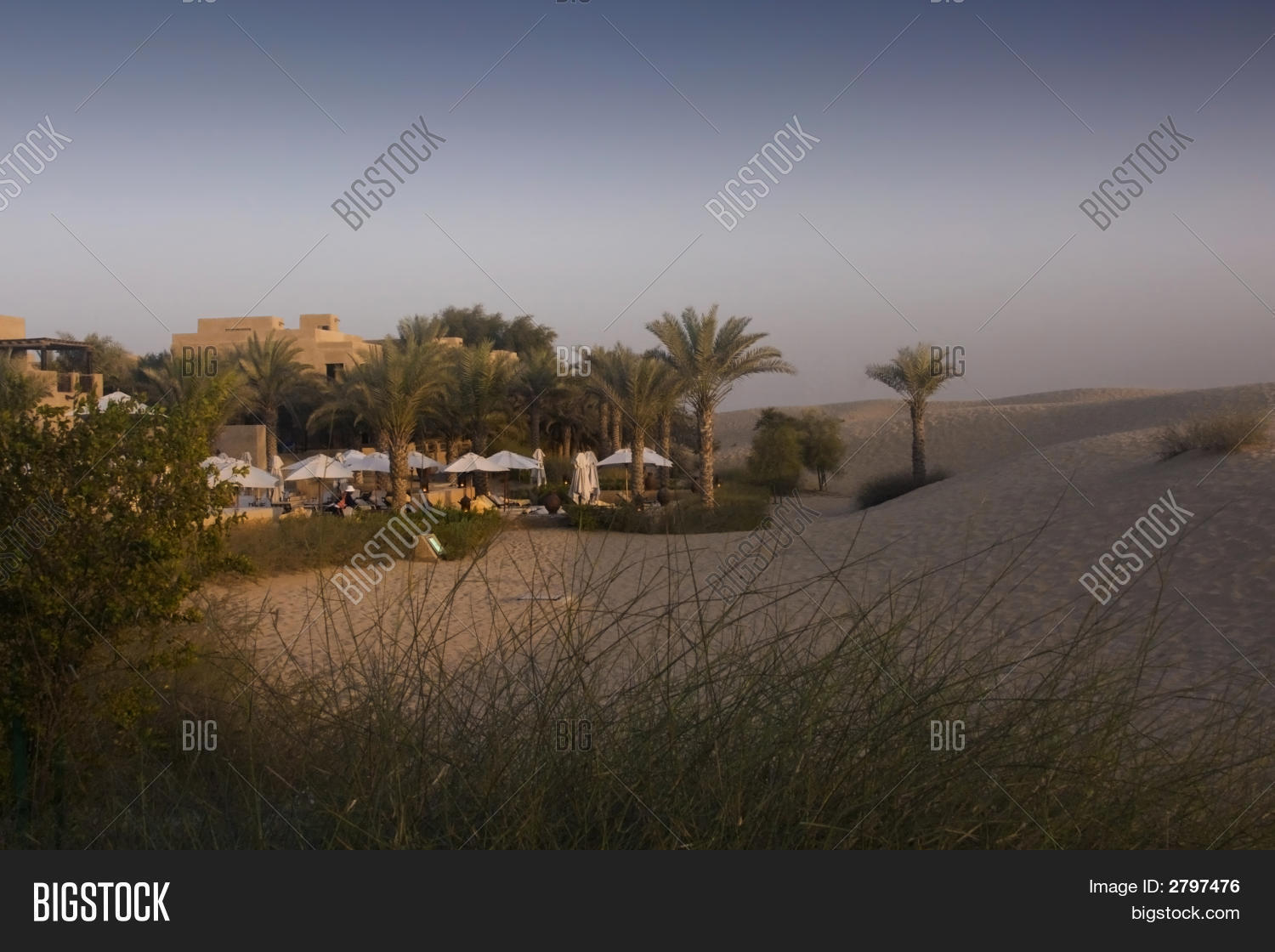 arabian desert oasis