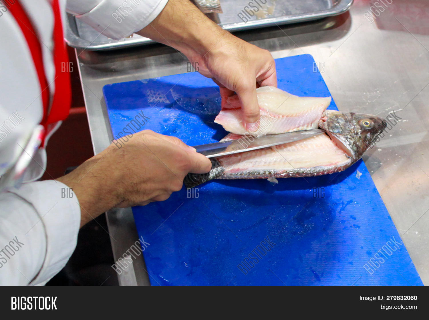 Chef Cooking Raw Fish Image & Photo (Free Trial) | Bigstock