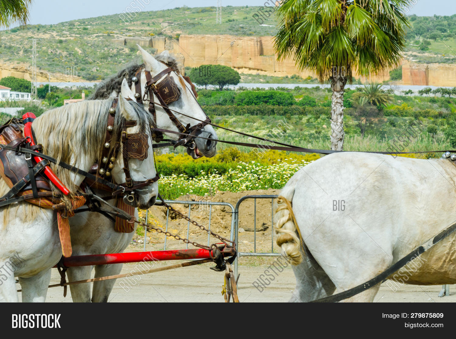 Almayate, Spain - Image & Photo (Free Trial) | Bigstock