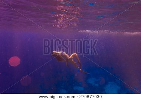 Woman Diving Into Water Images, Illustrations & Vectors (Free) - Bigstock