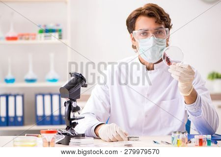 Male Entomologist Image & Photo (Free Trial) | Bigstock