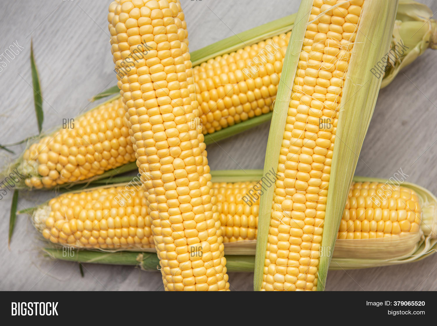 Group Raw Corn Cob Image & Photo (Free Trial) | Bigstock