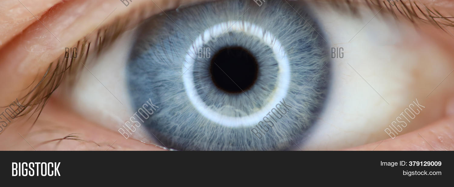 Blue Male, Human Eye Image & Photo (Free Trial) | Bigstock