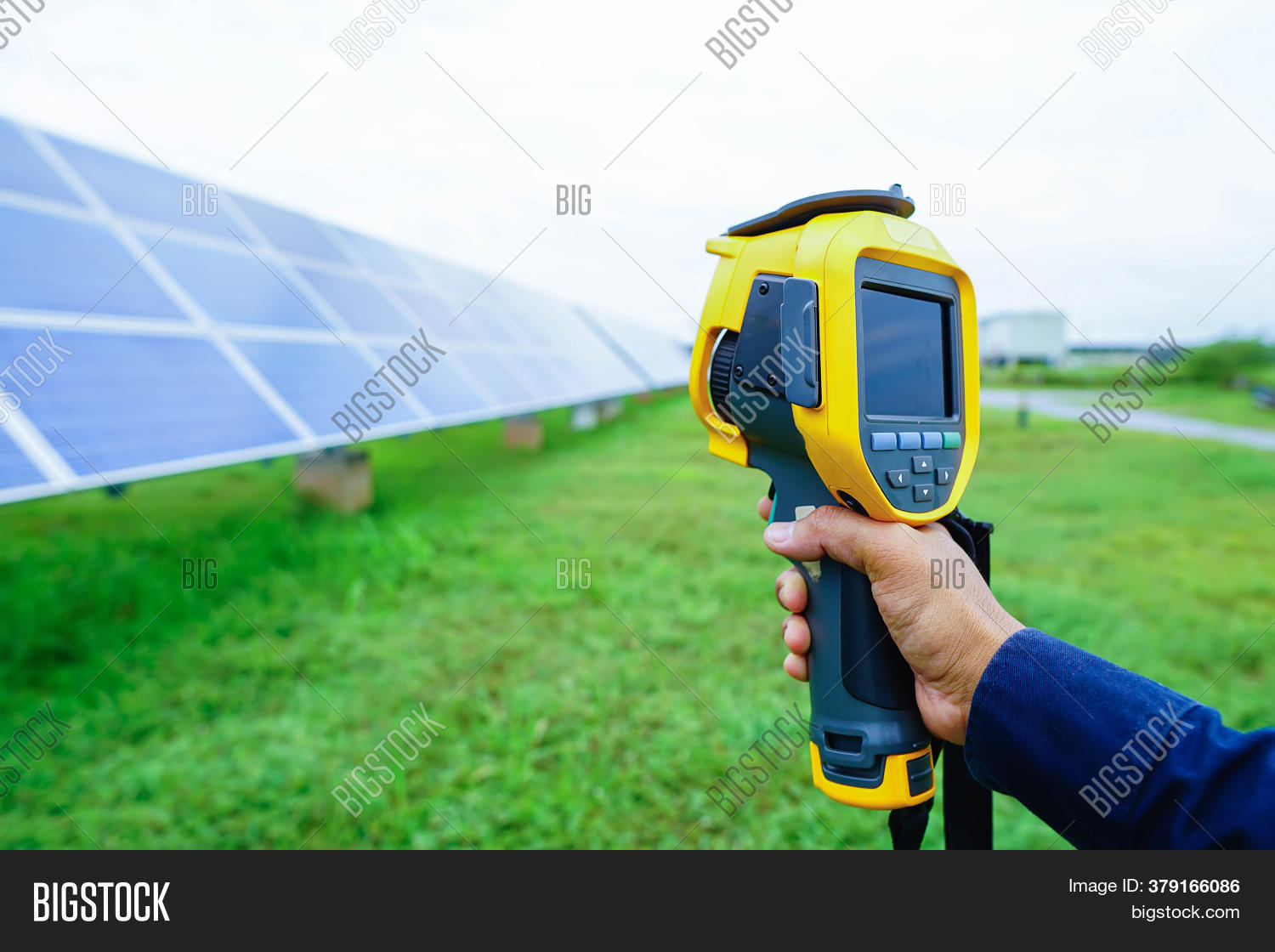 Thermoscan(thermal Image & Photo (Free Trial) | Bigstock