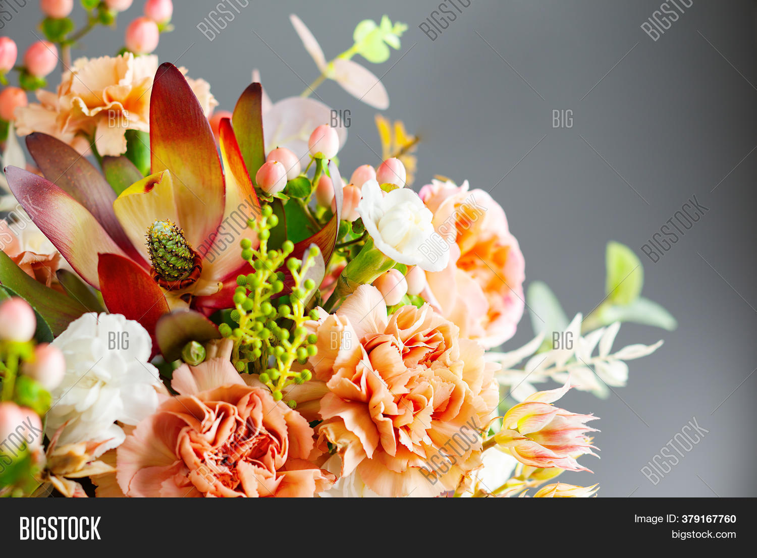 Autumn Composition Image & Photo (Free Trial) | Bigstock