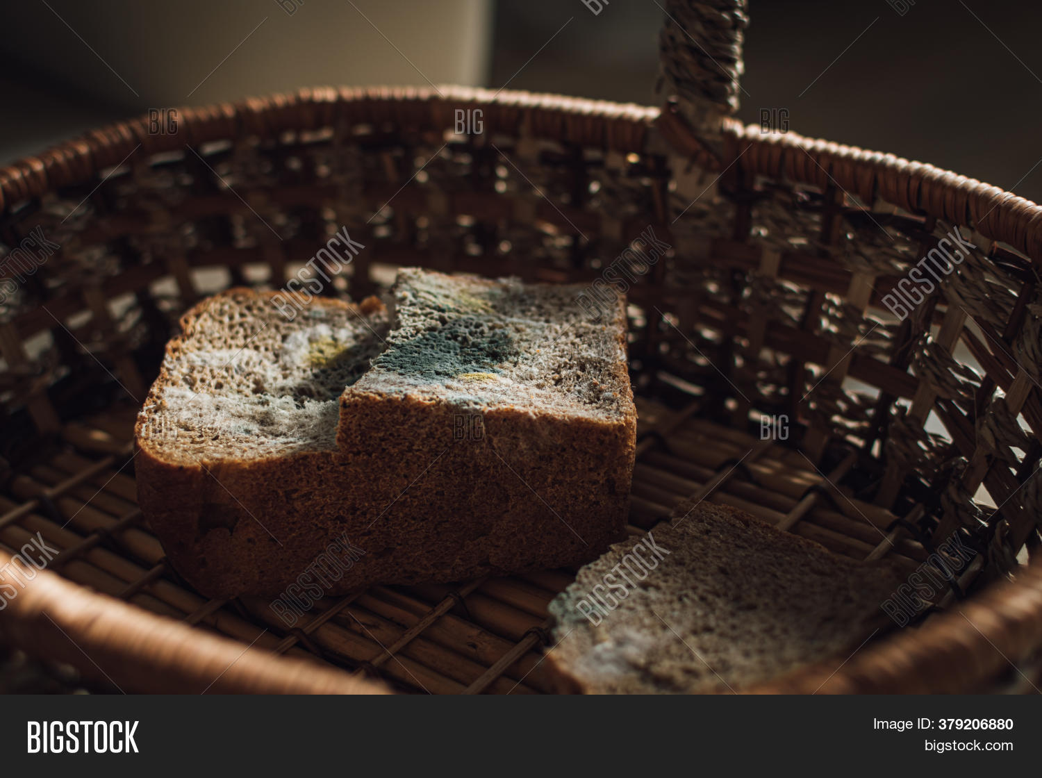 Mold On Bread, Piece Image & Photo (Free Trial) | Bigstock