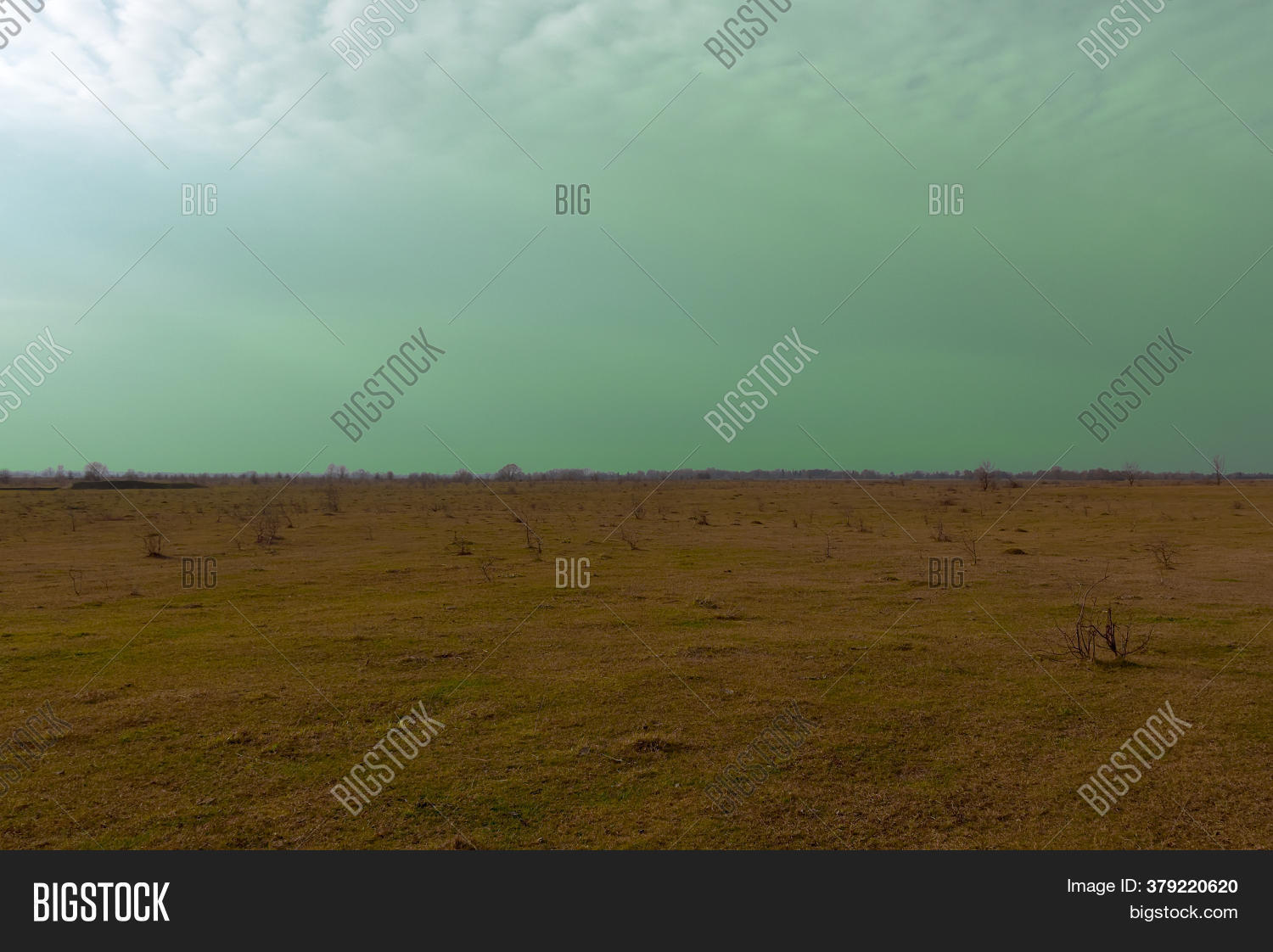 Steppe Plain On Cold Image & Photo (Free Trial) | Bigstock