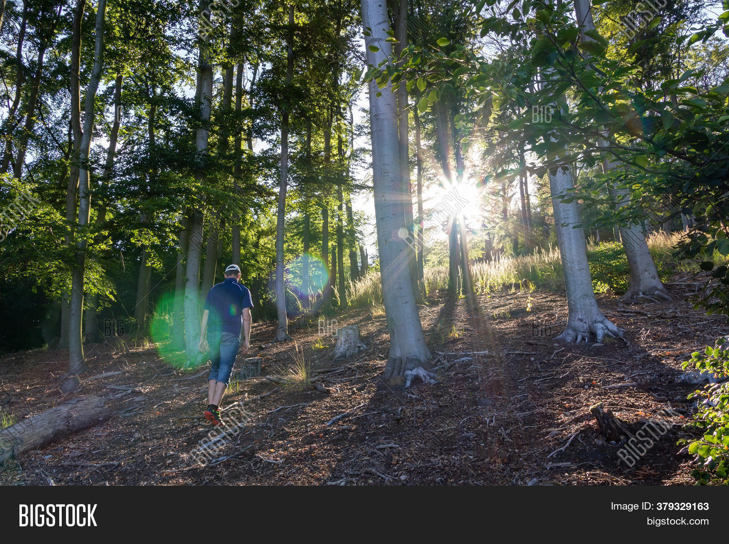 Young Man Walking Image & Photo (Free Trial) | Bigstock
