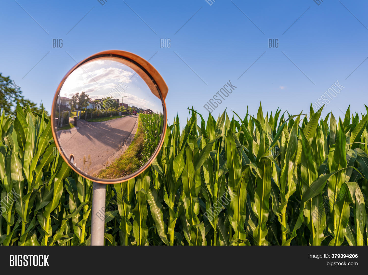 Traffic Curve Mirror Image & Photo (Free Trial) | Bigstock