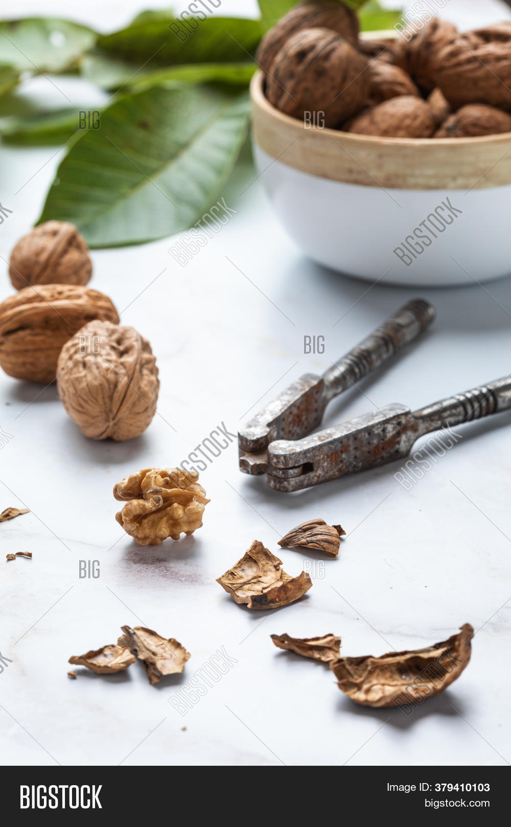 Peeled Walnut Image & Photo (Free Trial) | Bigstock