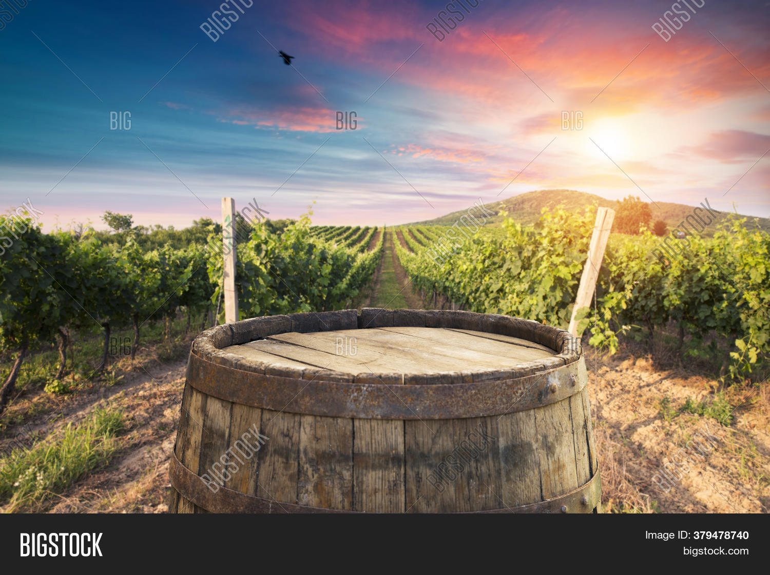 Scenery Vineyard Along Image & Photo (Free Trial) | Bigstock