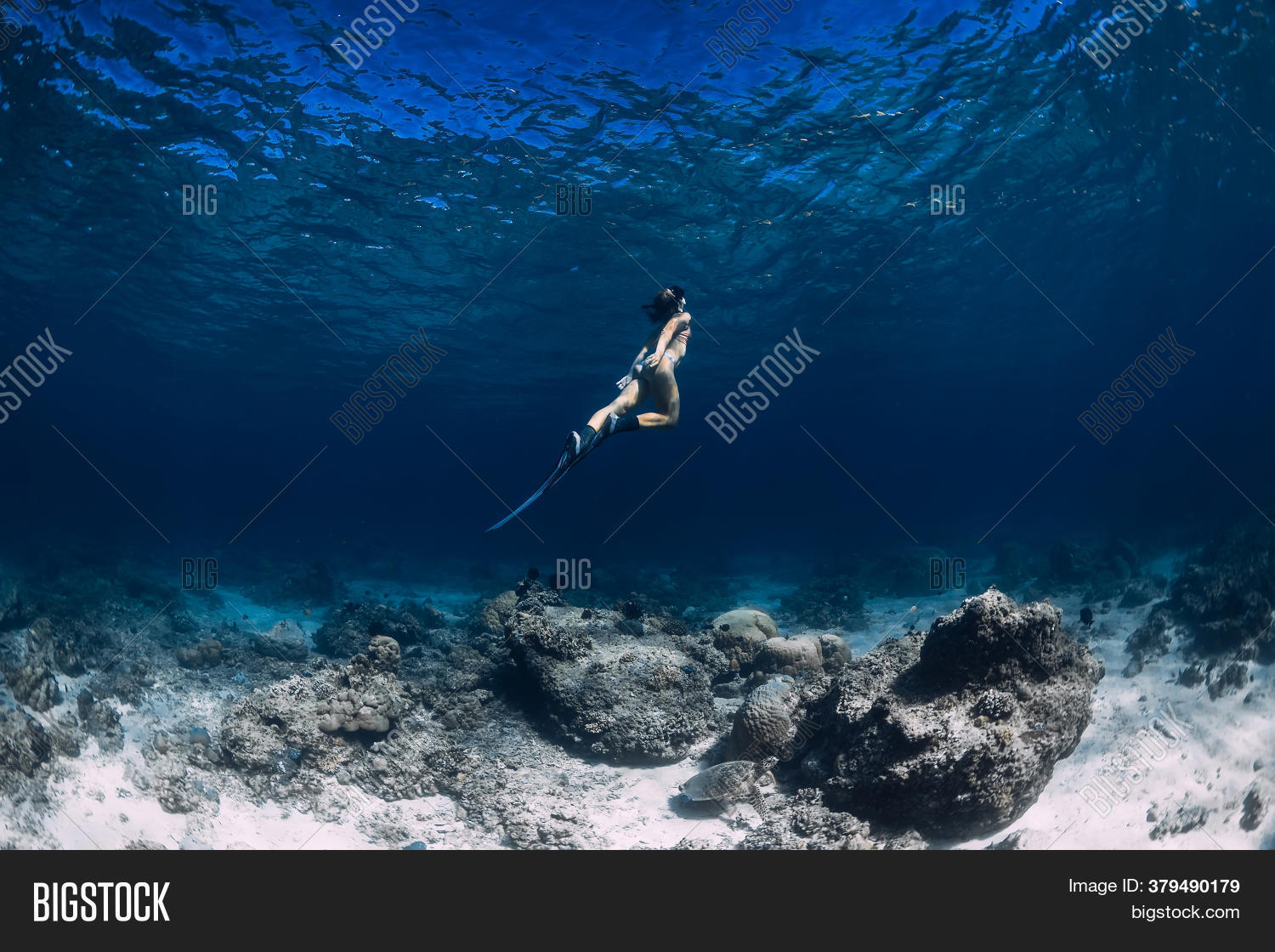 Woman Freediver Glides Image & Photo (Free Trial) | Bigstock